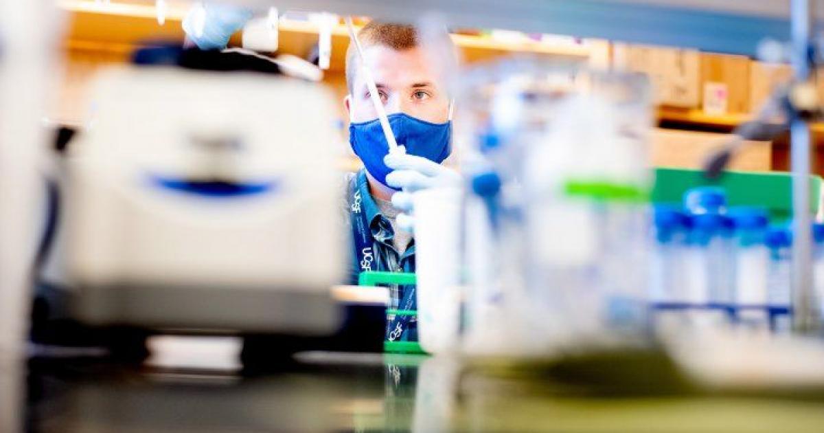 Remote Learning, Face Masks – Health Sciences Education Adapts During ...